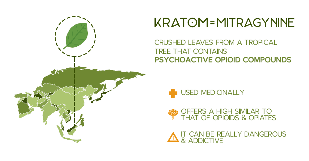 What Is Kratom: Does It Get You High and How It Can Be Dangerous | Ashwood Recovery
