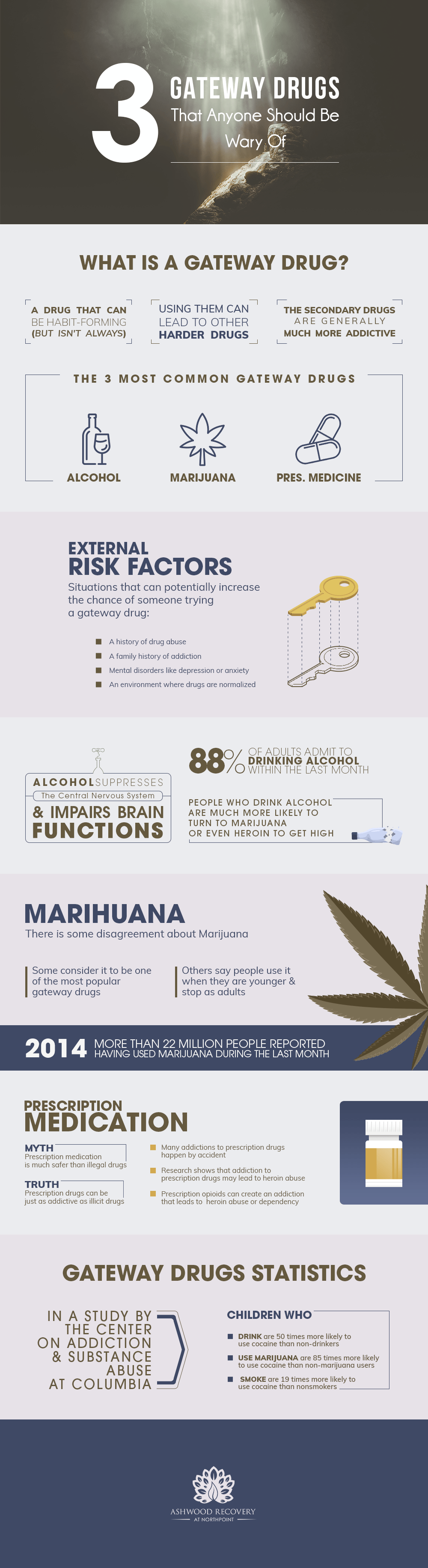 Gateway Drugs Effects