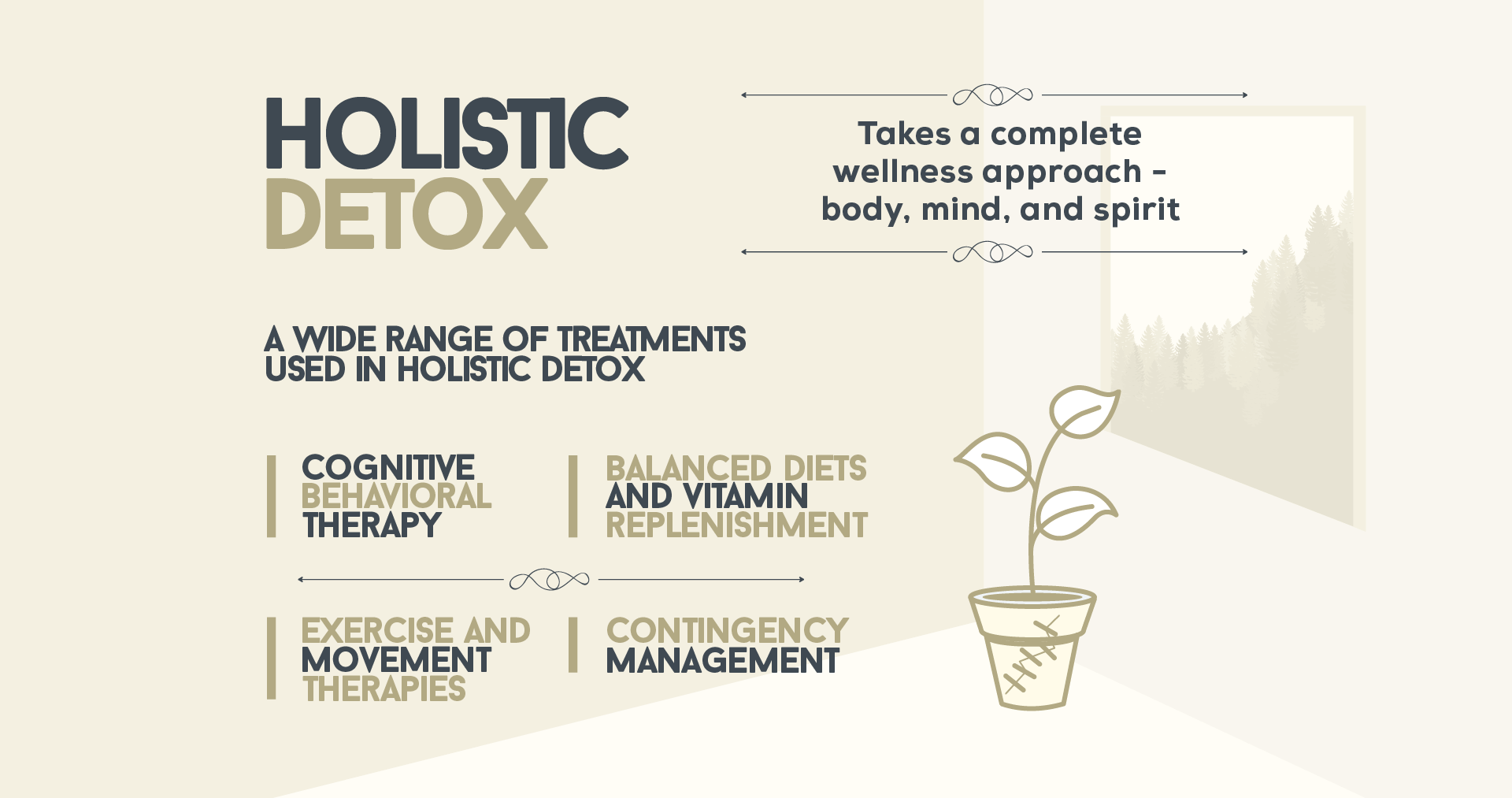 Everything You Need to Know About Alcohol Detox and Rehabilitation